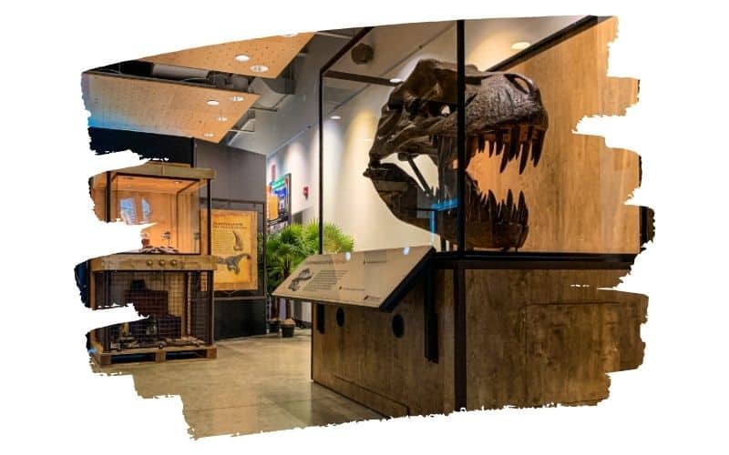 Bishop Museum Dinosaur Exhibit