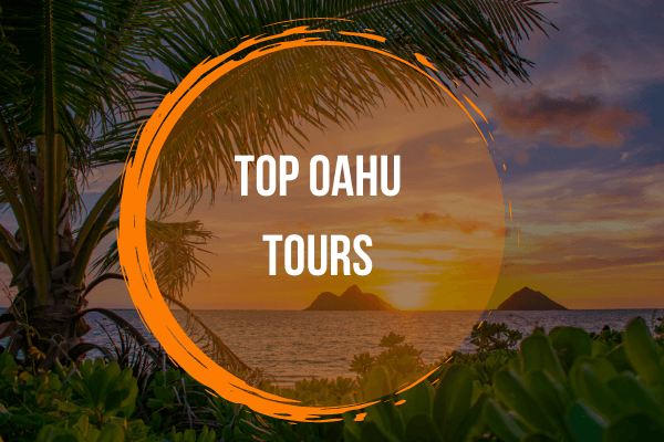 Best Oahu Tours | Discover the Top Tours & Activities Oahu, HI has to ...