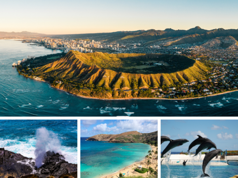 Waikiki Trolley | The Waikiki Trolley Map, Prices, Tickets, Guide, and ...