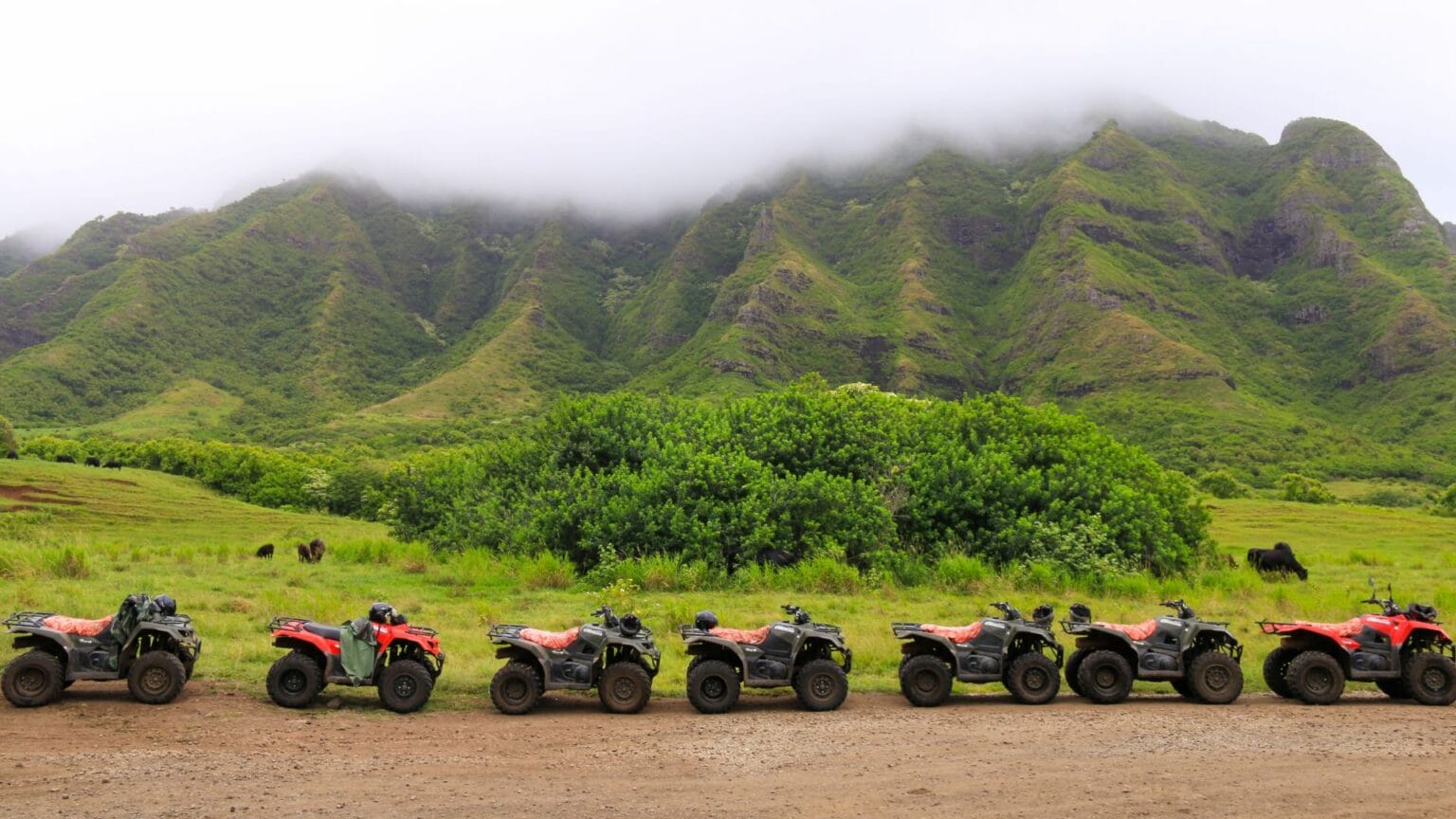 How Far is Kualoa Ranch from Waikiki: Full Guide - Real Hawaii Tours