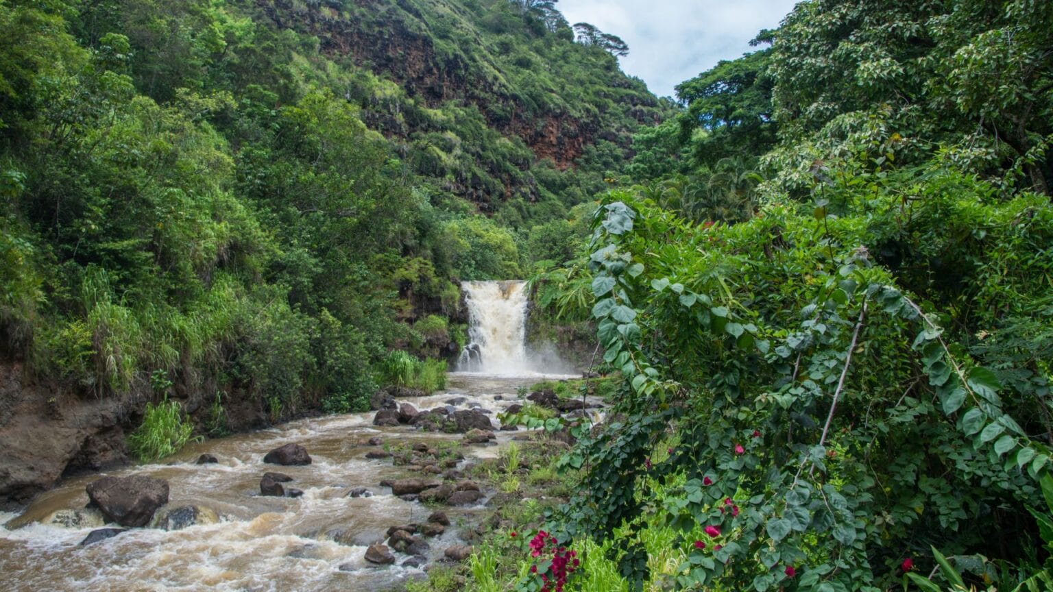 Waimea Falls Oahu Hike: A Comprehensive Guide - Real Hawaii Tours
