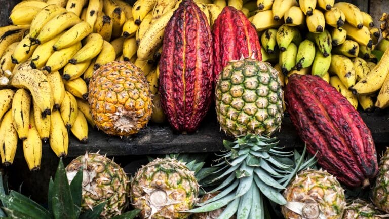 Oahu Rainforest Hiking: 5 Stunning Trails - Real Hawaii Tours