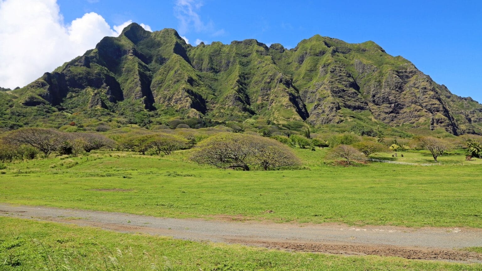 Oahu Rainforest Hiking: 5 Stunning Trails - Real Hawaii Tours
