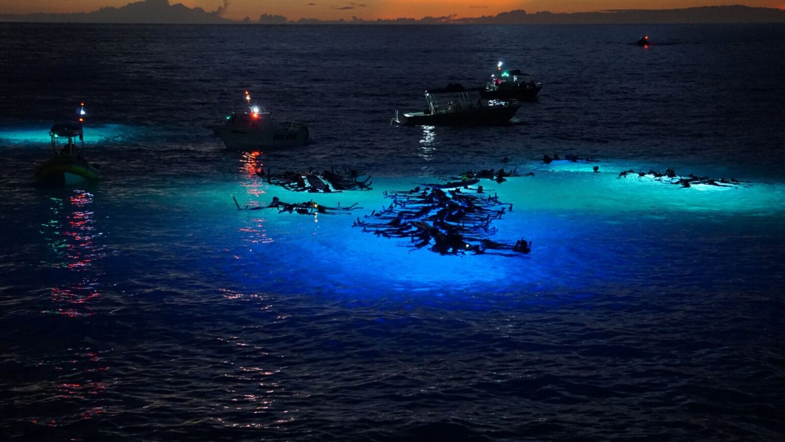 Experience the Thrill: Swim with Manta Rays in Oahu, Hawaii - Real ...