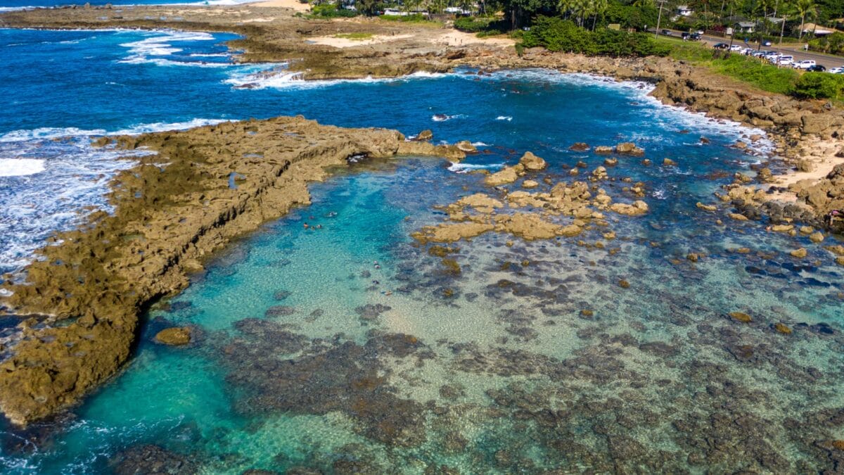 Oahu Shark's Cove: Everything You Must Know