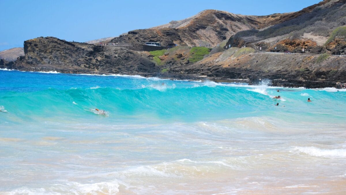 Sandy Beach Oahu: Complete Travel Guide