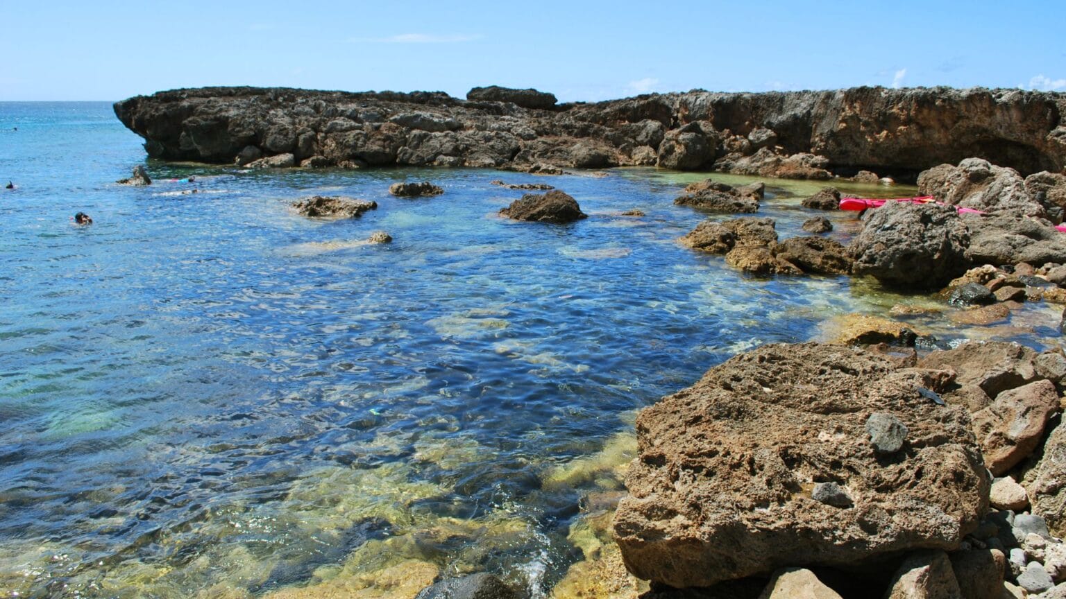Oahu Shark's Cove: Everything You Must Know