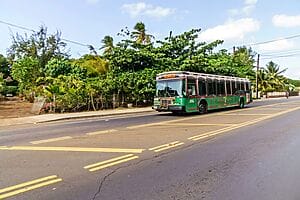 Maui Shuttles and Trolleys: Everything You Must Know